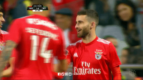 Sl Benfica Football GIF by Sport Lisboa e Benfica - Find & Share on GIPHY