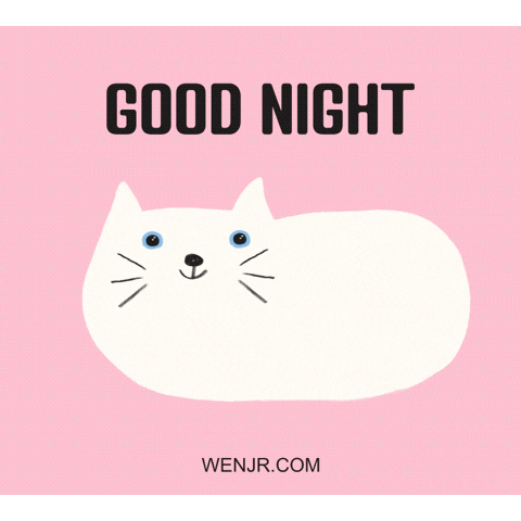 Goodnight Cat Gif