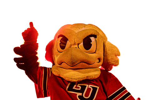 Flames Lu Sticker by Liberty University for iOS & Android | GIPHY