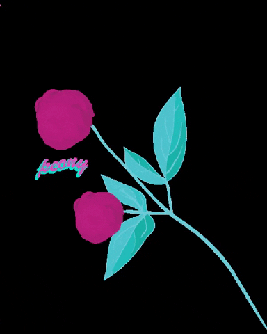 Peony GIFs - Get the best GIF on GIPHY