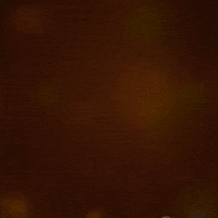 Tingly GIFs - Get the best GIF on GIPHY