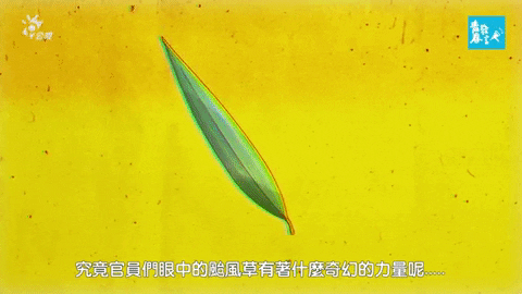 Weed Tw GIFs - Get the best GIF on GIPHY