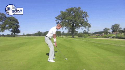 Injury Falling GIF by Me and My Golf - Find & Share on GIPHY