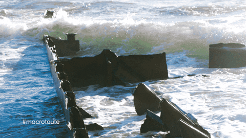 Boat-wreck GIFs - Get the best GIF on GIPHY