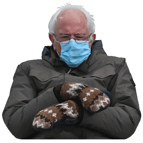 Bernie Sanders Sticker Sticker by patternbase for iOS & Android | GIPHY