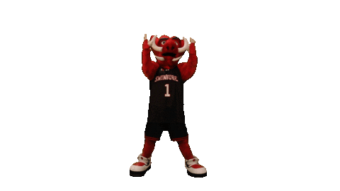 razortherazorback GIFs on GIPHY - Be Animated