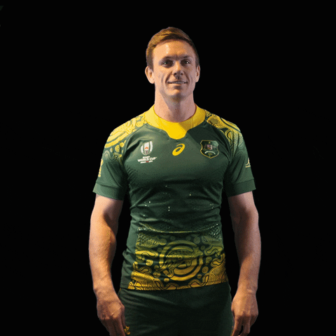Wallabies GIFs - Get the best GIF on GIPHY