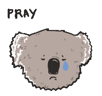 Sad Koala Gif