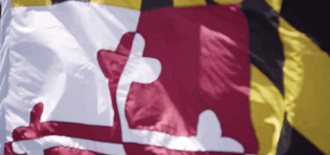 Maryland-flag GIFs - Get the best GIF on GIPHY