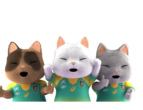 Cat Wow Sticker by beIN SPORTS APAC for iOS & Android | GIPHY