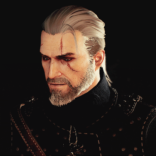 The Witcher's Birthday GIFs! by GIPHY Gaming | GIPHY