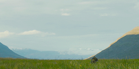 Rolling Pastures GIFs - Get the best GIF on GIPHY
