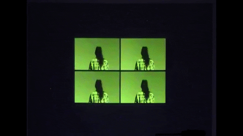 Partisan Records GIFs - Find & Share on GIPHY