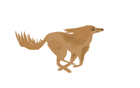 Running Dog Gif
