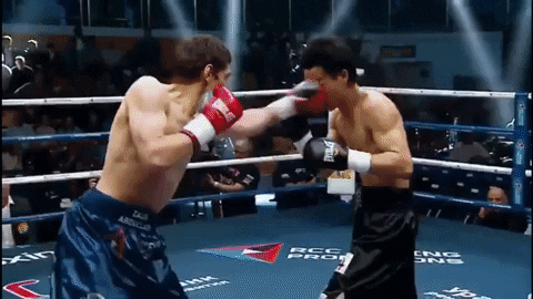 Fight Punch GIF by RCC Sport - Find & Share on GIPHY