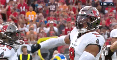 Tampa Bay Buccaneers Football GIF by NFL - Find & Share on GIPHY