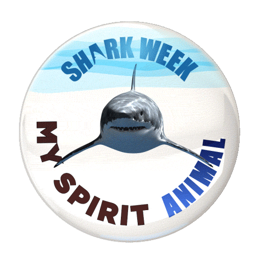 Shark Week Scream Sticker by Discovery Europe for iOS & Android | GIPHY