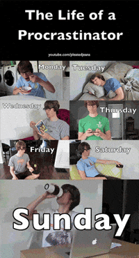 Funny Procrastination Meme