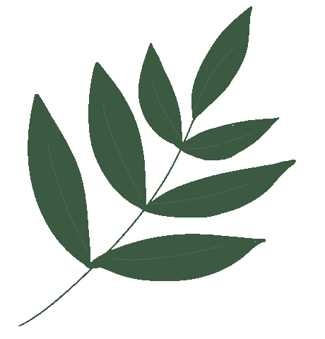 Leaves Gif