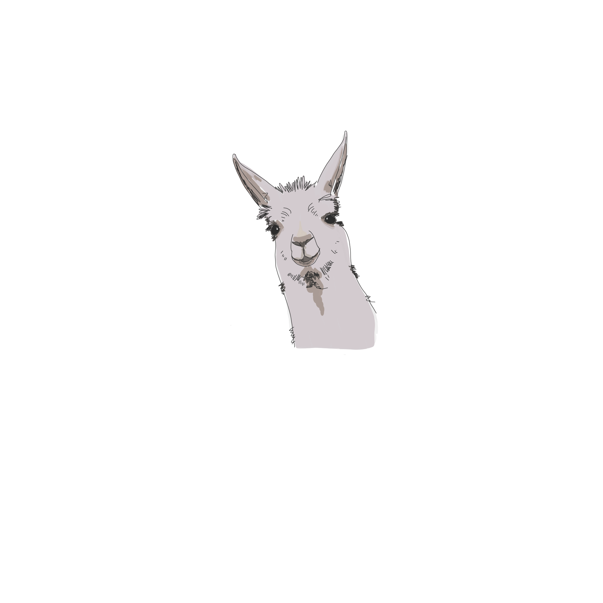 Lama Lamalove Sticker by Simone Abelmann for iOS & Android | GIPHY