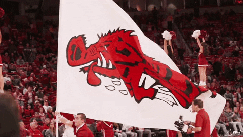 Arkansas Razorbacks GIF - Find & Share on GIPHY