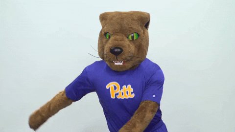 ROC The Panther by Pitt Panthers | GIPHY