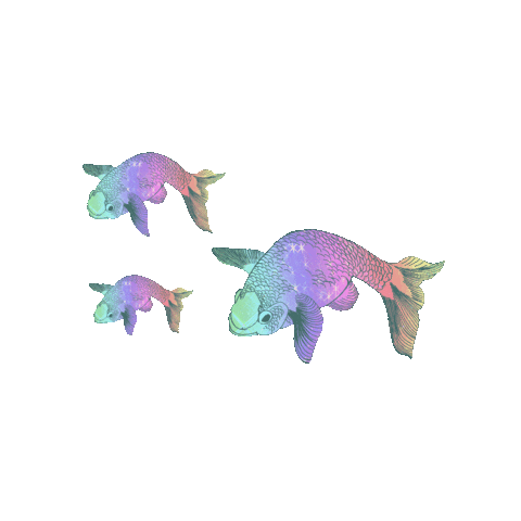 Transparent Fish Gif