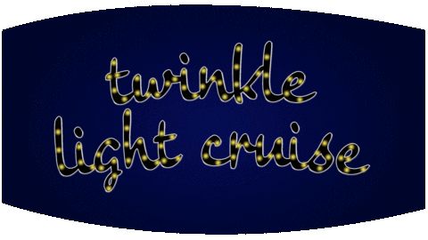 Twinkle Light GIFs - Get the best GIF on GIPHY