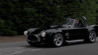 50 Cent Car Gif Cat