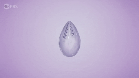 Earth Parasite GIF by PBS Digital Studios - Find & Share on GIPHY