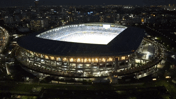 South Africa GIFs on GIPHY - Be Animated