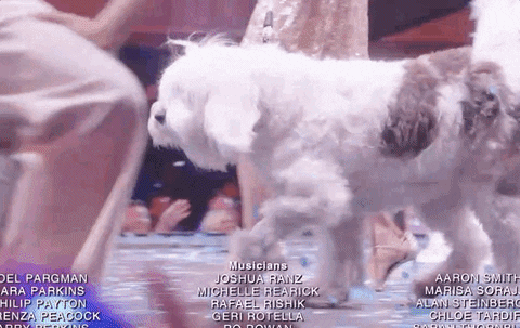 Jamal-smith GIFs - Get the best GIF on GIPHY