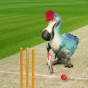 The Ashes Cricket GIF by Dodo Australia - Find & Share on GIPHY