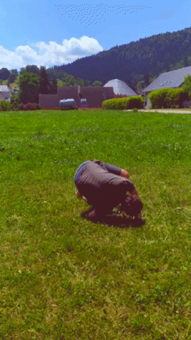 EUX Compagnie d'Improvisation GIF - Find & Share on GIPHY