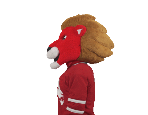 Yeo Yorku Sticker by York University for iOS & Android | GIPHY
