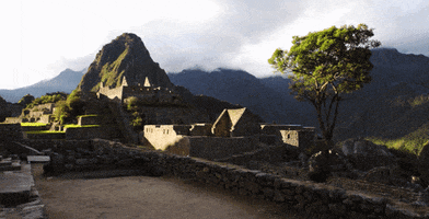 Res GIFs - Find & Share on GIPHY