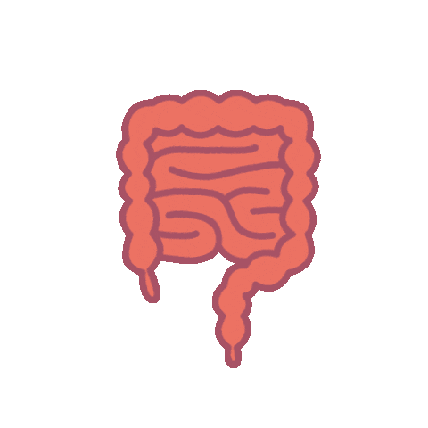 Organs Intestin Sticker by Телеканал Пятница! for iOS & Android | GIPHY