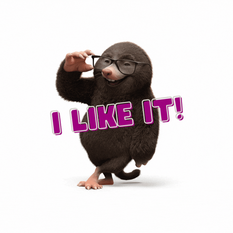 I Like It Glasses GIF by VisionExpress - Find & Share on GIPHY