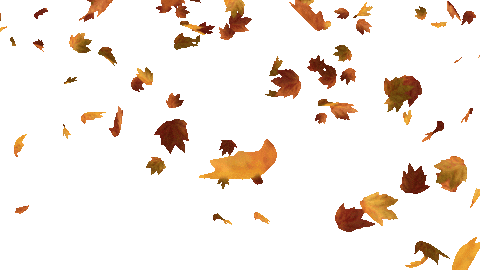 Fall Leaves Falling Gif