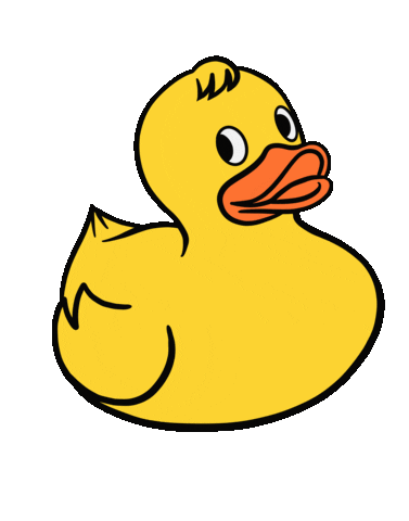 Duck Animated Gif Transparent