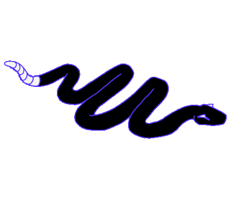 Snake Slither Sticker by Shane Beam for iOS & Android | GIPHY
