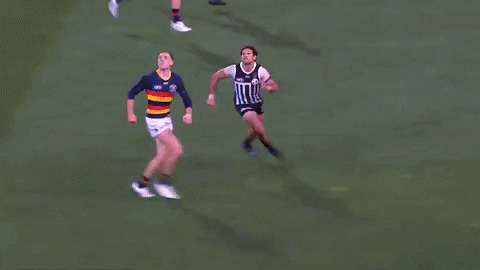 Steven Motlop Mark GIF by Port Adelaide FC - Find & Share on GIPHY