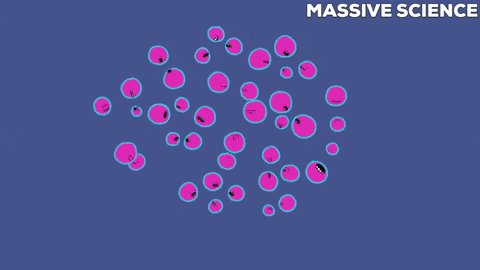 Robot Chess GIFs - Get the best GIF on GIPHY