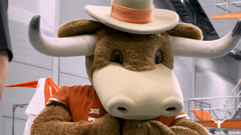 Diving Swimming GIF by Texas Longhorns - Find & Share on GIPHY