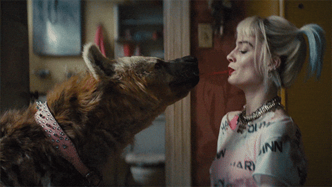 Harley Quinn Bop GIF by Birds Of Prey - Find & Share on GIPHY