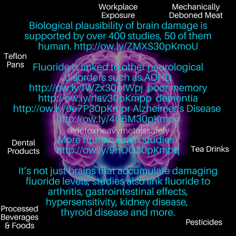 Alzheimers-disease GIFs - Get the best GIF on GIPHY