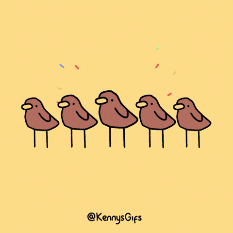 Bird Dancing Gif