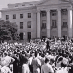 Uc Berkeley GIF by GoPop - Find & Share on GIPHY