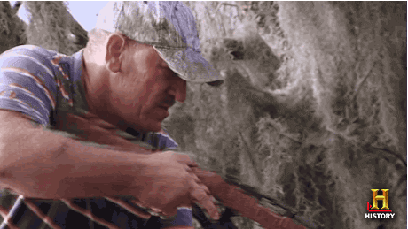 Alligator Hunting GIFs - Get the best GIF on GIPHY