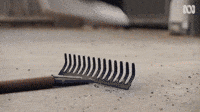 The Rake Gif